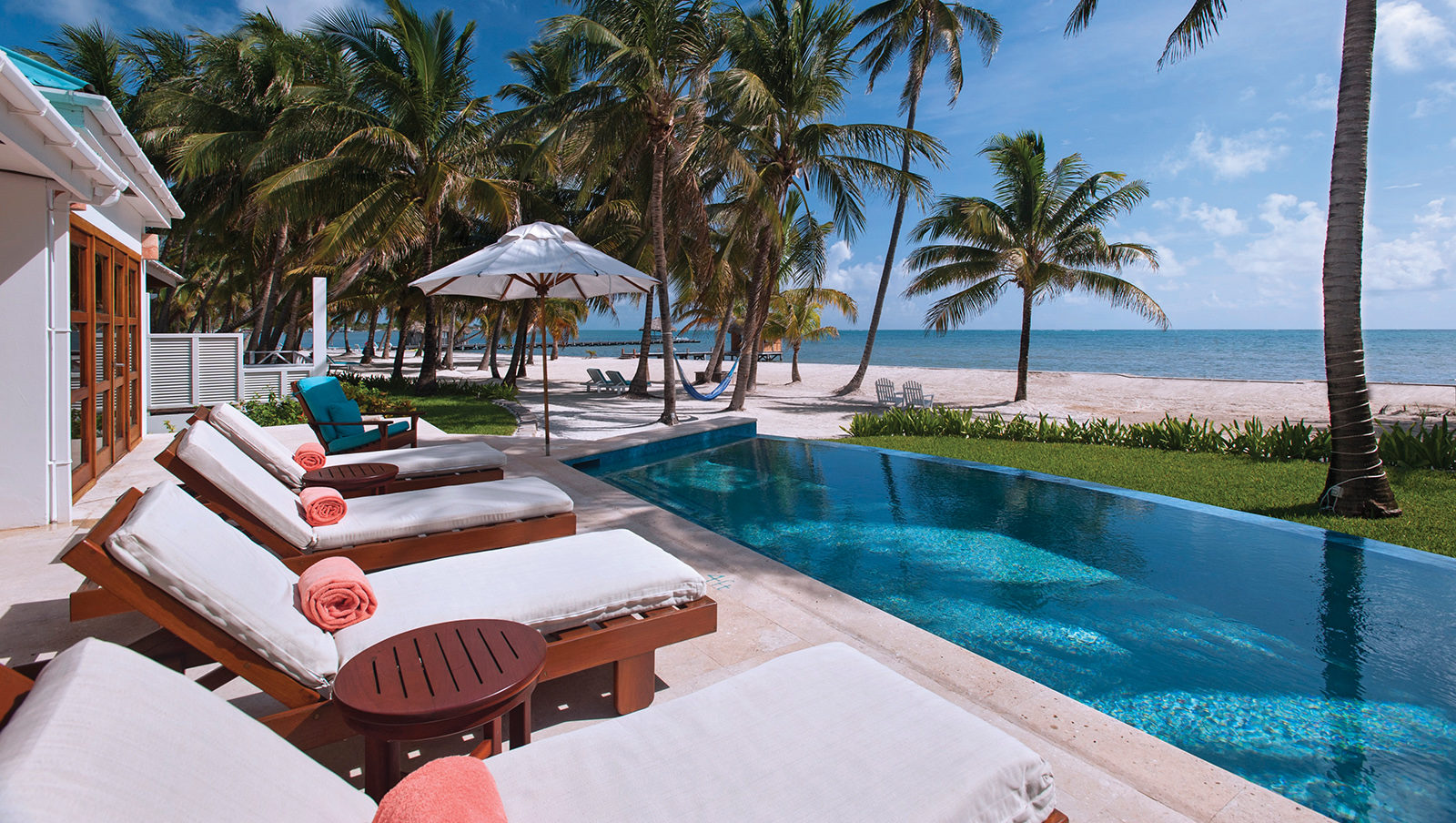 Collections – Dotti Collection