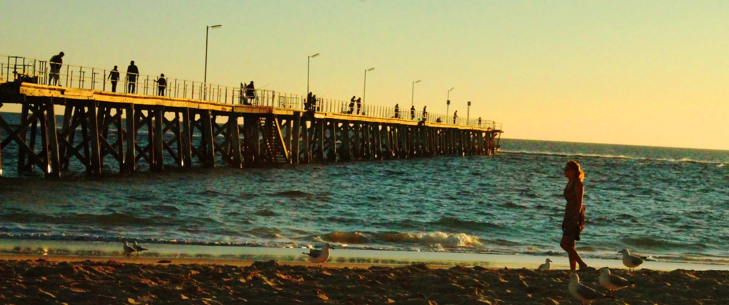 Collections – Dotti Collection